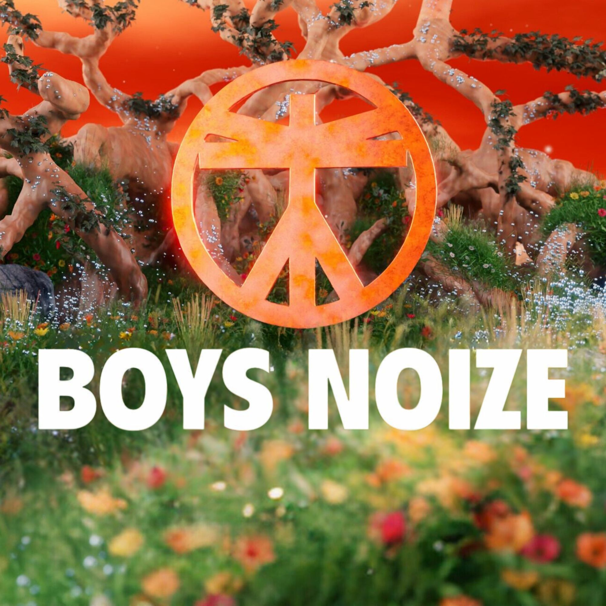 Boys Noize